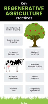 Regenerative Agriculture: Principles, Pioneers + Does It Really Work?