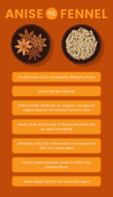 Anise Seed Benefits Blood Sugar & May Protect Against Ulcers - Dr. Axe