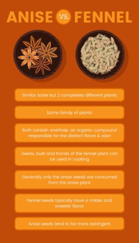 Anise Seed Benefits Blood Sugar & May Protect Against Ulcers - Dr. Axe