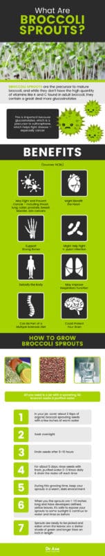 Broccoli Sprouts: One of Nature's Top Cancer-Fighting Foods - Dr. Axe