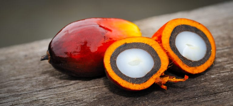 Red Palm Oil: Healthy Oil or Environmental Hazard? - Dr. Axe