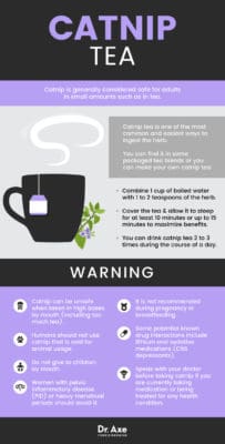 Catnip: Why Your Cat Loves It (+ 4 Human Uses!) - Dr. Axe