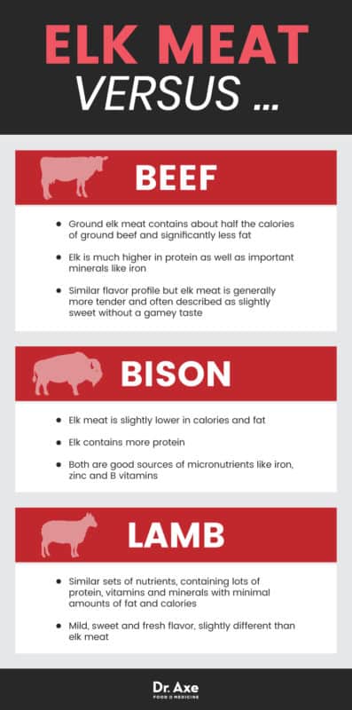 Is Elk Meat Healthy? Top 6 Benefits of Elk Meat Nutrition - Dr. Axe