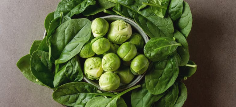 Best Folic Acid Foods to Boost Folate Levels - Dr. Axe