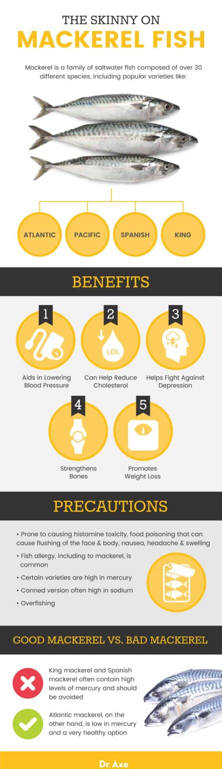 Mackerel Fish Benefits and Nutrition Facts - Dr. Axe