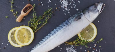 Mackerel Fish Benefits and Nutrition Facts - Dr. Axe