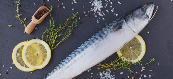 Mackerel Fish Benefits and Nutrition Facts - Dr. Axe