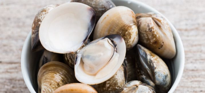 Bivalve Pros & Cons: Should You Eat Mollusk? - Dr. Axe