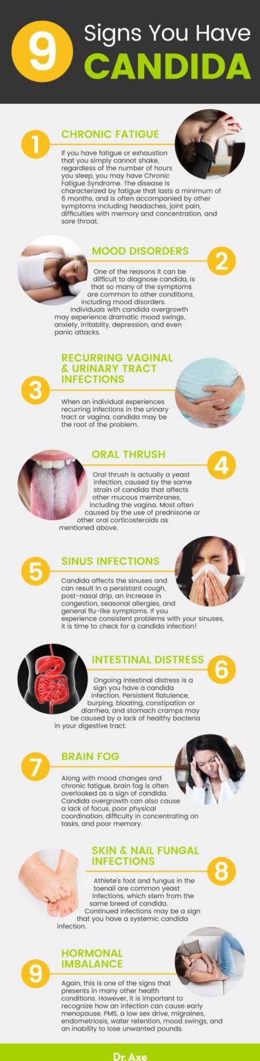 Symptoms of Candida Overgrowth & How to Get Rid of It - Dr. Axe