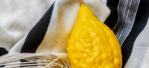 Citron Fruit Benefits Immunity, Heart Health & More - Dr. Axe