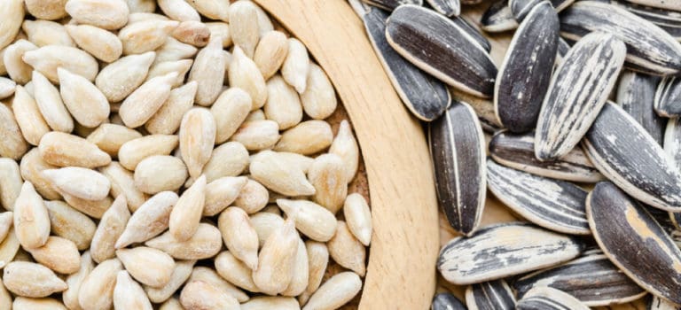 Top 15 Thiamine Foods, Plus Benefits, Recipes and More - Dr. Axe