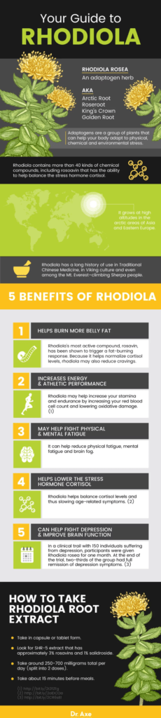 Rhodiola Rosea Benefits, Dosage and Side Effects - Dr. Axe