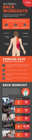 Best Back Workouts + Back Exercises for a Sculpted Back - Dr. Axe