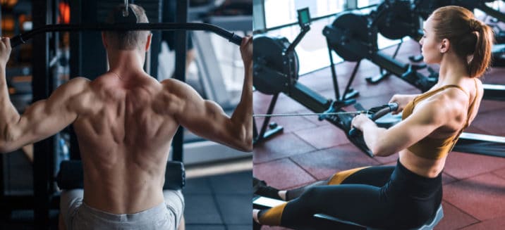 Best Back Workouts + Back Exercises for a Sculpted Back - Dr. Axe