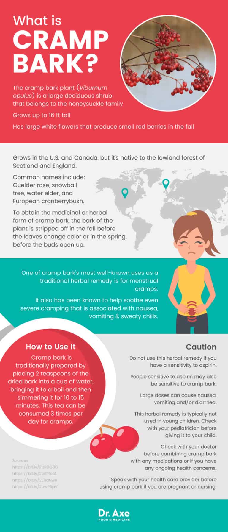 Cramp Bark for Menstrual Relief + 4 Other Benefits - Dr. Axe