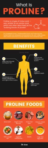 Benefits of Proline and How to Get More in Your Diet - Dr. Axe
