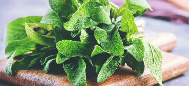 Sage Benefits & Uses for Skin, Memory & More - Dr. Axe
