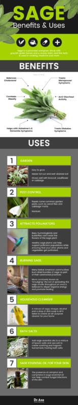 Sage Benefits & Uses for Skin, Memory & More - Dr. Axe