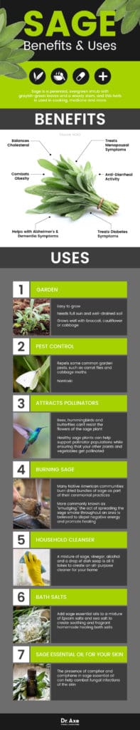 Sage Benefits & Uses for Skin, Memory & More - Dr. Axe