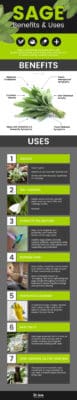 Sage Benefits & Uses for Skin, Memory & More - Dr. Axe