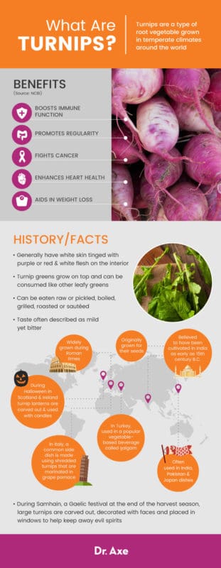 Turnip Benefits, Nutrition Facts and How to Use - Dr. Axe