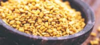 Fenugreek: Benefits, Uses & Side Effects of This