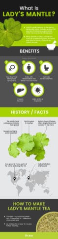 Lady's Mantle for Menstrual & Gastrointestinal Relief - Dr. Axe