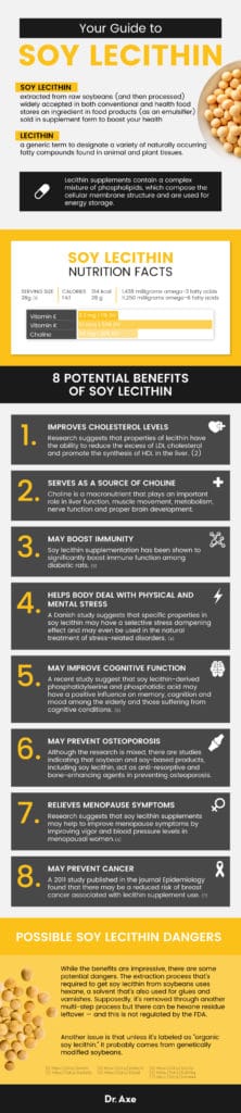 Soy Lecithin: Potential Benefits, Risks and Side Effects - Dr. Axe