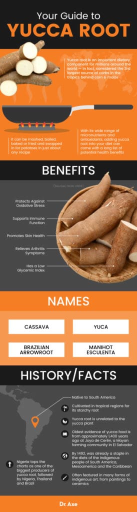 Yucca Root Benefits and How to Use It - Dr. Axe