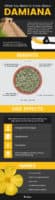 Damiana Benefits, Uses, Recipes and Side Effects - Dr. Axe