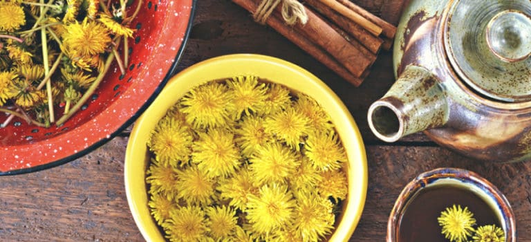 Dandelion Tea Benefits, How to Make and Side Effects - Dr. Axe