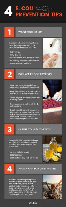 E. coli Symptoms: 6 Ways to Help Recover (+ 4 Prevention Tips) - Dr. Axe