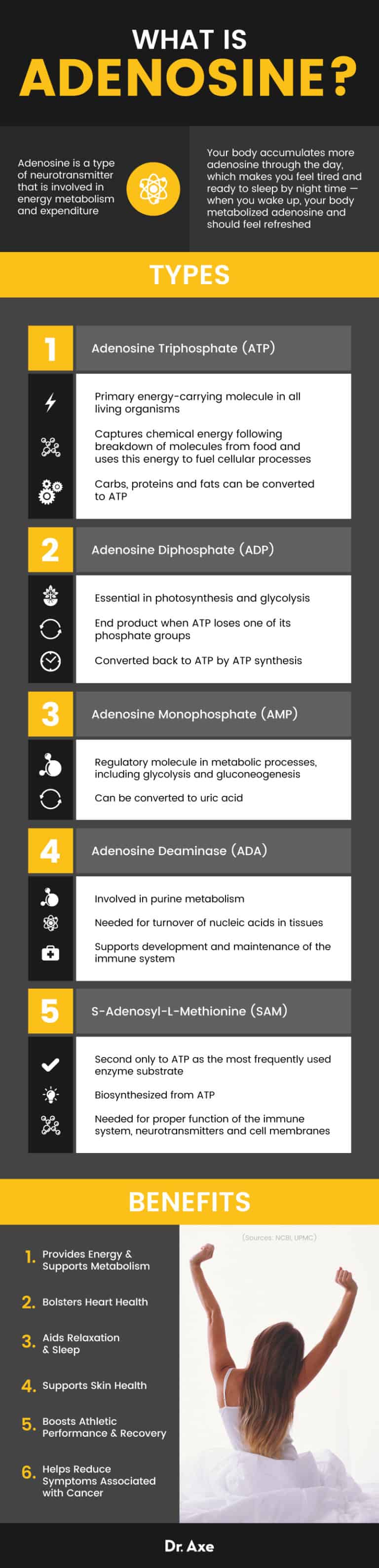 Adenosine Benefits, Foods, Supplements and Side Effects - Dr. Axe