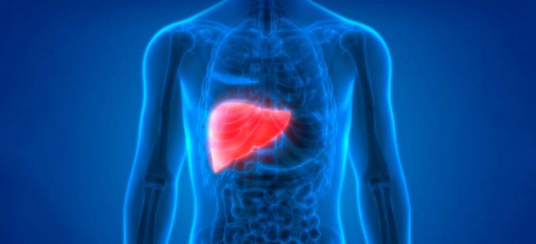 Liver Disease Causes, Symptoms, Types and Treatments - Dr. Axe