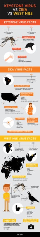 Keystone Virus: First Ever Case Detected in Humans - Dr. Axe