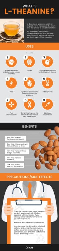 L-Theanine Benefits, Uses, Side Effects, Dosage, Foods - Dr. Axe