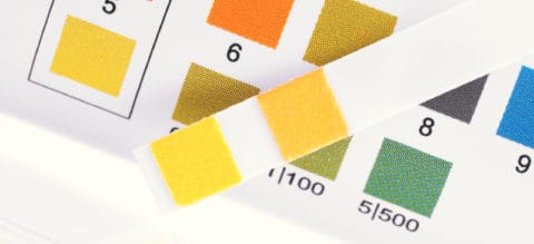 Proper pH Balance: What It Is + 4 Steps to Achieve It - Dr. Axe