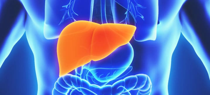 Bile Salts: How They Work, Function, Benefits, Side Effects - Dr. Axe