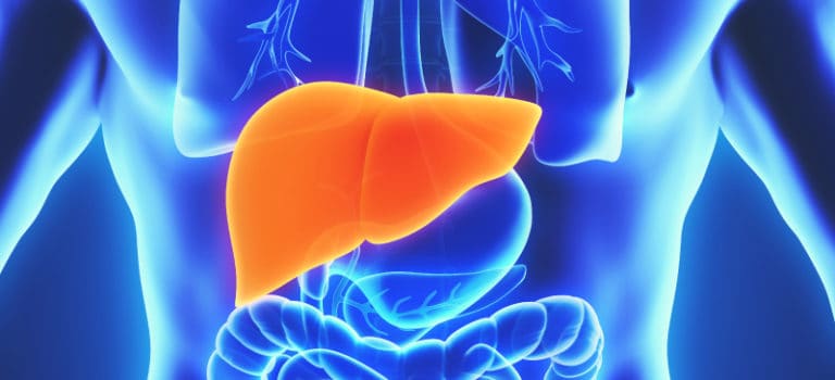 Bile Salts: How They Work, Function, Benefits, Side Effects - Dr. Axe