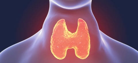 Goiter Symptoms, Risk Factors & Treatment - Dr. Axe