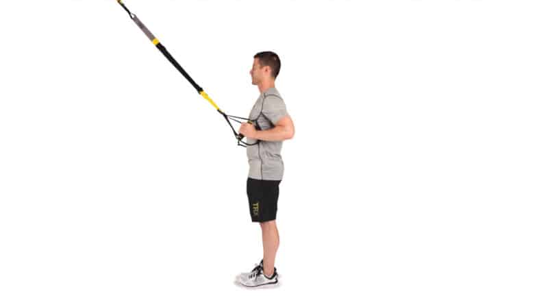 TRX Workout: Best Exercises for Beginners - Dr. Axe