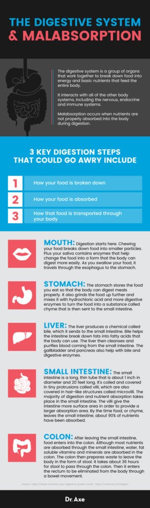 Malabsorption (Natural Ways to Help Malabsorption Syndrome) - Dr. Axe