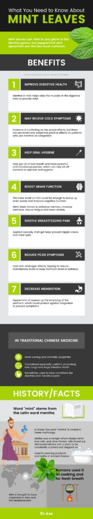 Mint Leaves Benefits, Nutrition, Uses and Recipes - Dr. Axe
