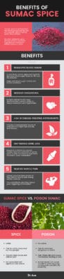 Sumac Spice Benefits, Uses, Recipes, Side Effects and More - Dr. Axe