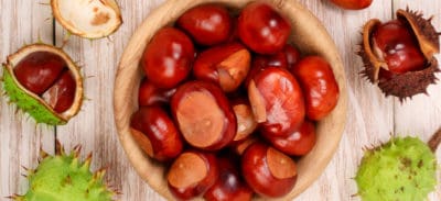 Chestnut Benefits, Nutrition, Recipes, How to Roast and More - Dr. Axe