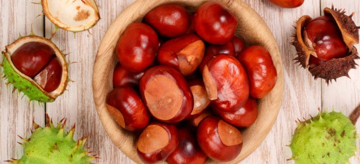 Chestnut Benefits, Nutrition, Recipes, How to Roast and More - Dr. Axe