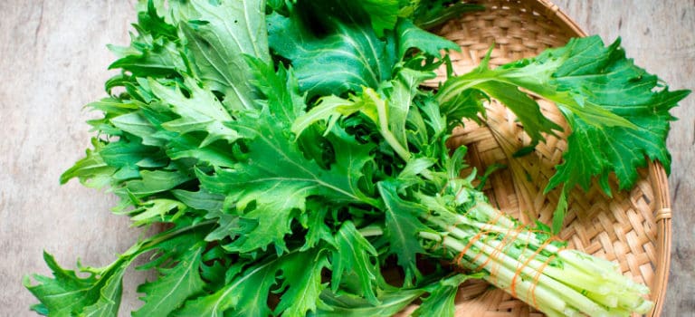 Mizuna Benefits, Nutrition, Uses, Recipes, How to Grow - Dr. Axe