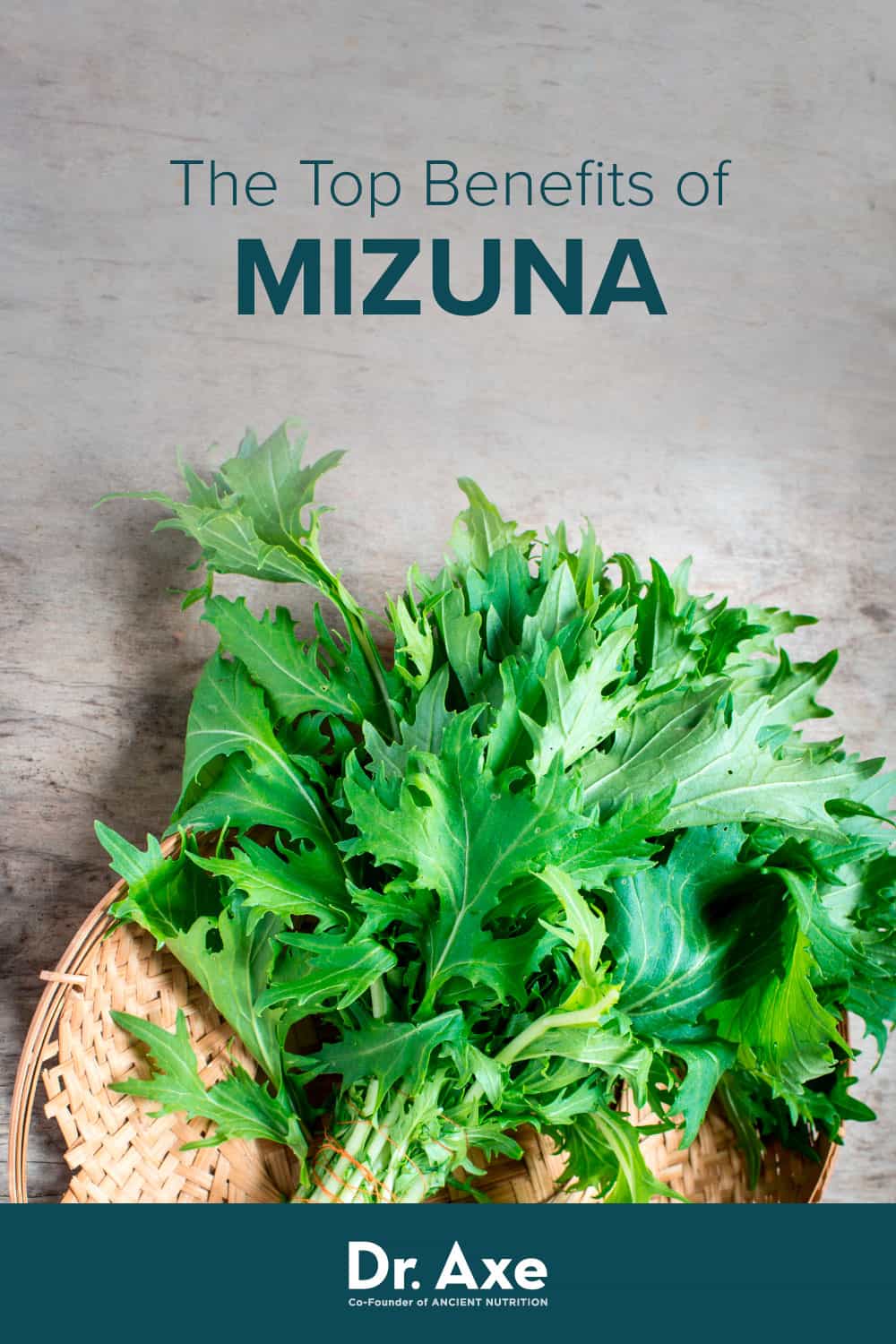 Mizuna Benefits, Nutrition, Uses, Recipes, How to Grow - Dr. Axe