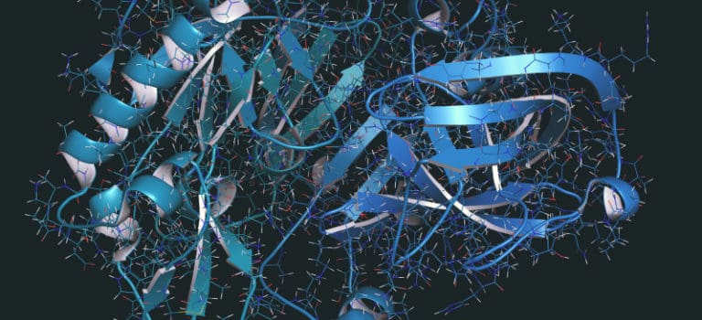 What Is Protease? Benefits, Uses, Supplements, Side Effects - Dr. Axe