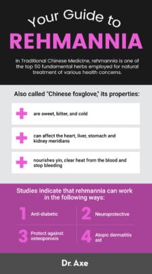 Rehmannia Root Benefits, Uses, Side Effects and More - Dr. Axe